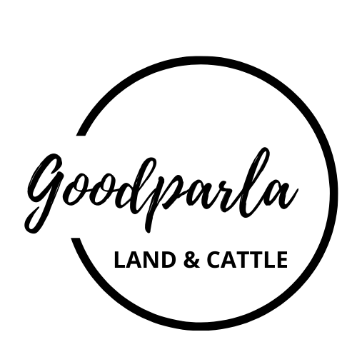 Goodparla Land & Cattle - Missouri pasture-raised beef – goodparla